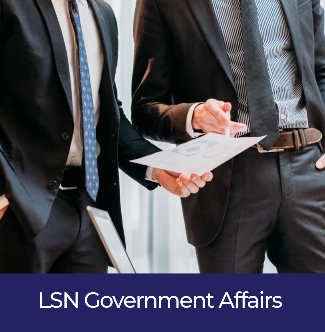 Homepage | LSN Partners is a full-service consulting firm