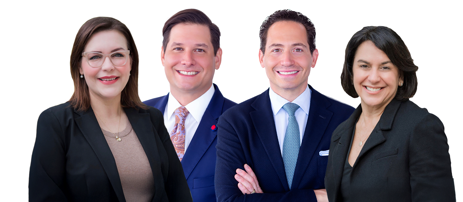 LSN Goverment Affairs | LSN Partners specialized services